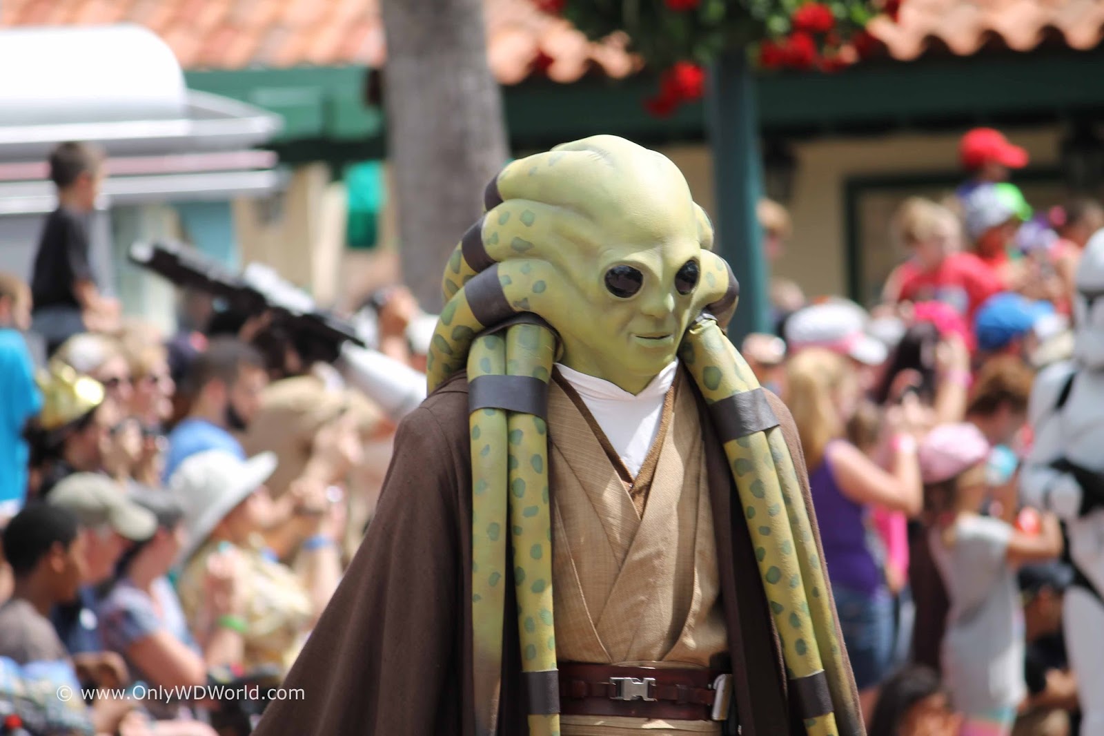 Star Wars Weekends Feel The Force Premium Package Review | Disney World ...