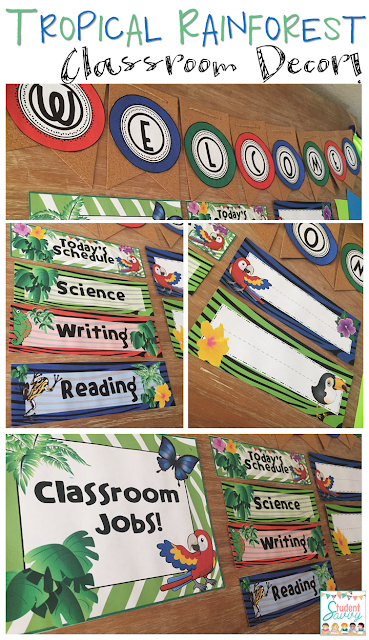 Rainforest Classroom Decor - Teacher Sock Sunday! – Student Savvy