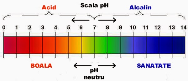 stil de viata unic.....: Alcalinizarea = cheia succesului spre ...