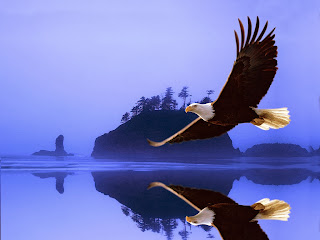 Στους Δρόμους των Αγγέλων: Η ΑΝΑΓΕΝΝΗΣΗ ΕΝΟΣ ΑΕΤΟΥ (βίντεο)