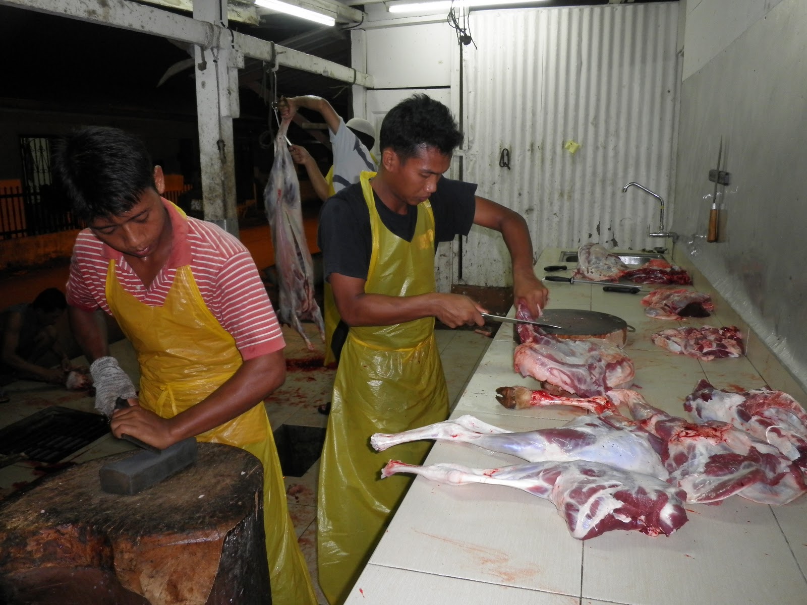 Kambing Aqiqah : Proses Penyembelihan dan Melapah