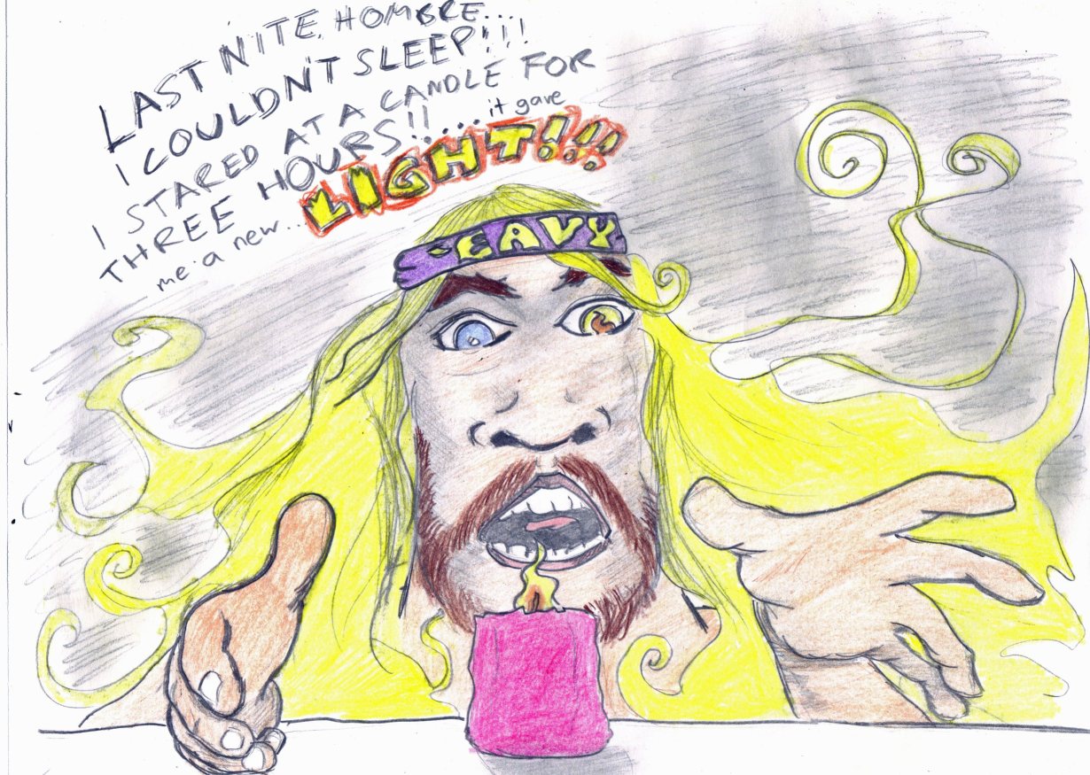 Shey Hey: Why Couldn't It Have Been Hulk Hogan? The Macho Madness Ends ...