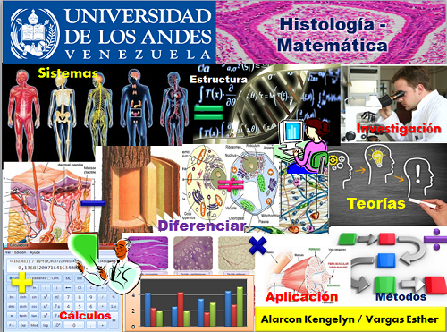 Collage de Matemática Básica