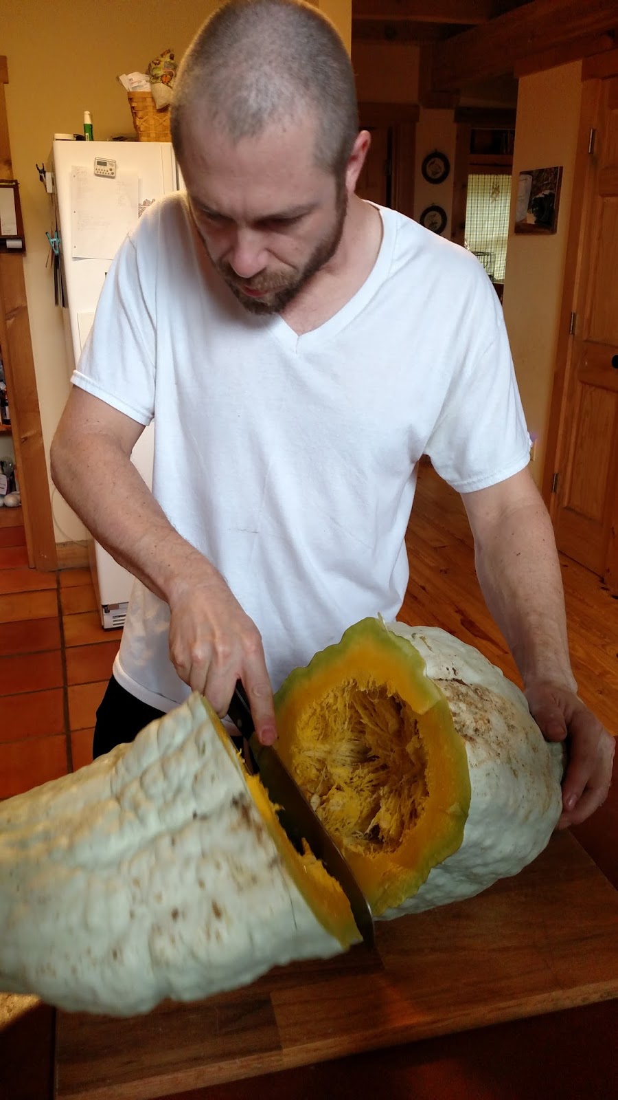 Two Bears Farm and the Three Cubs: Growing Blue Hubbard Squash