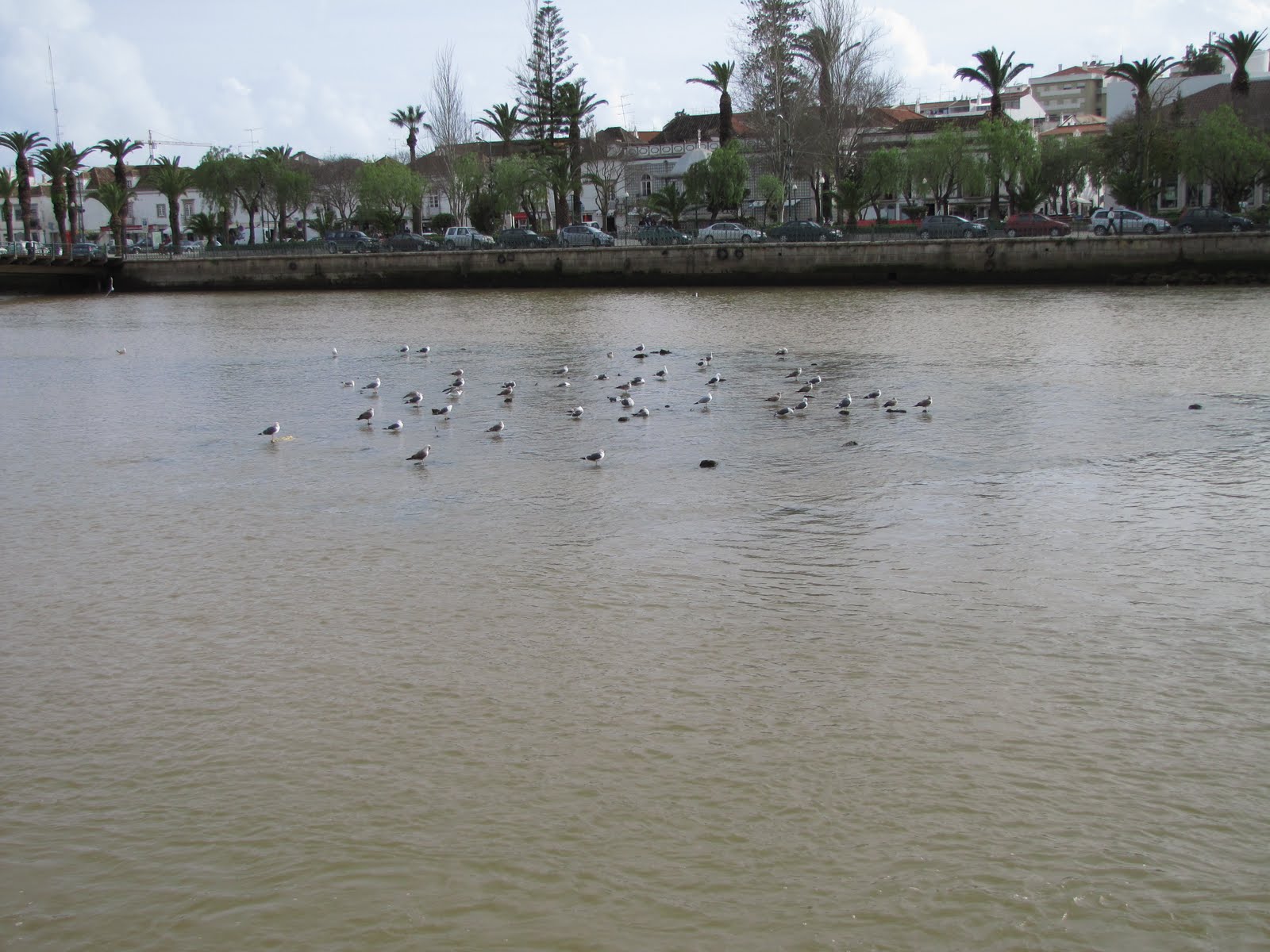 Viagem à volta da Vida: O rio Gilão.
