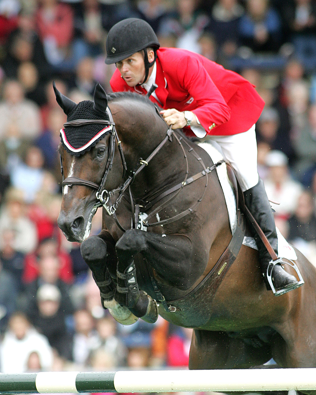 Dinsdale Photo Blog: Canadian show jumping horse Hickstead dies