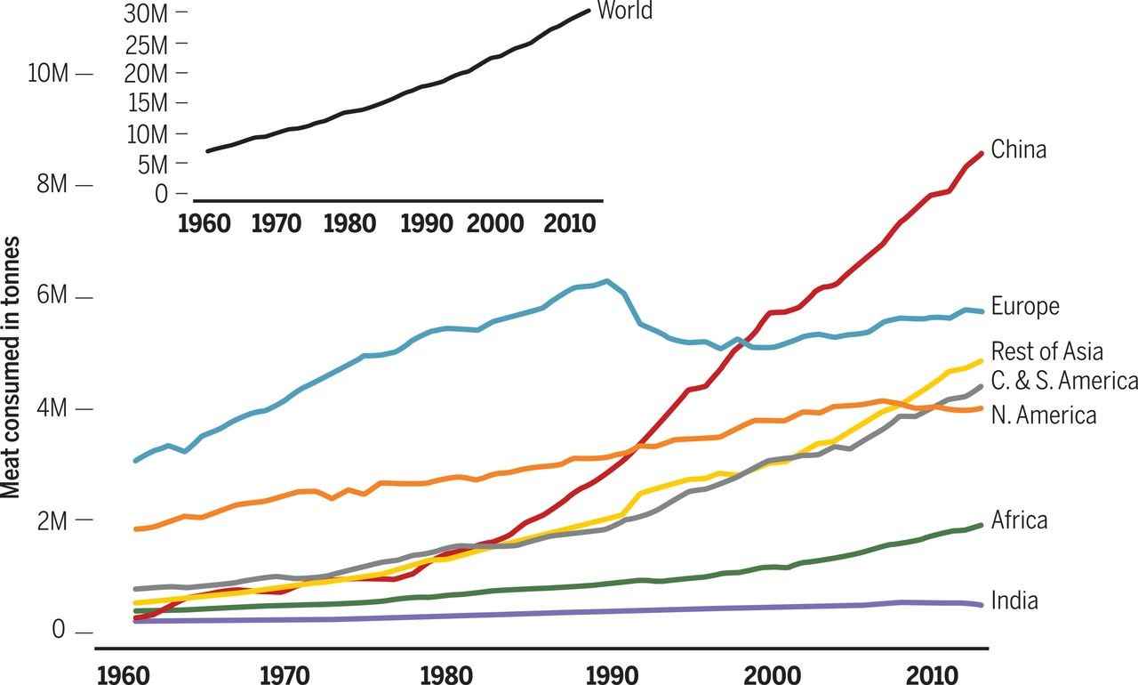 This Is Why Too Much Meat Consumption Could Reduce Your Lifespan ...