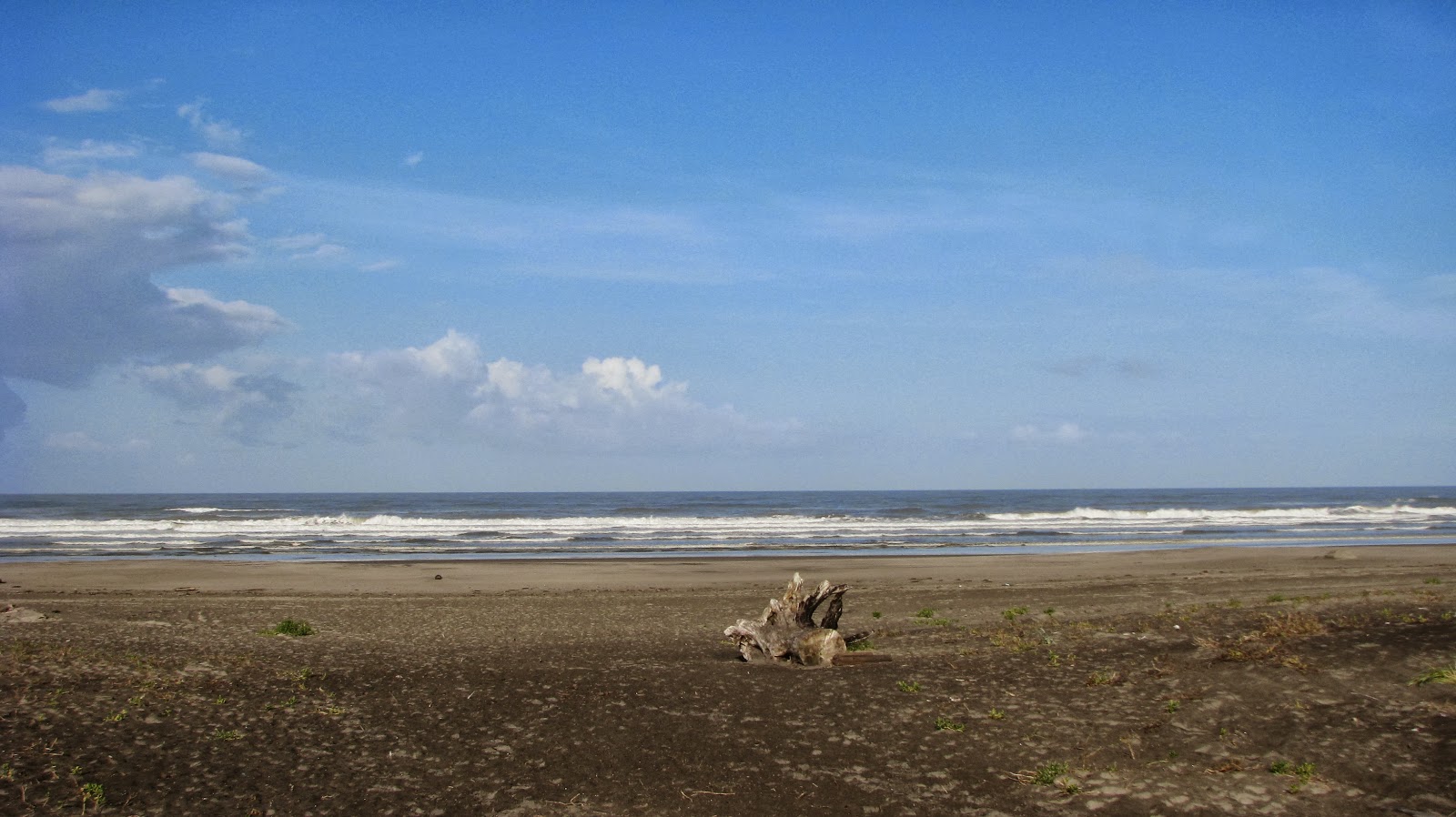 September 12-18, 2013 - Long Beach Peninsula, WA