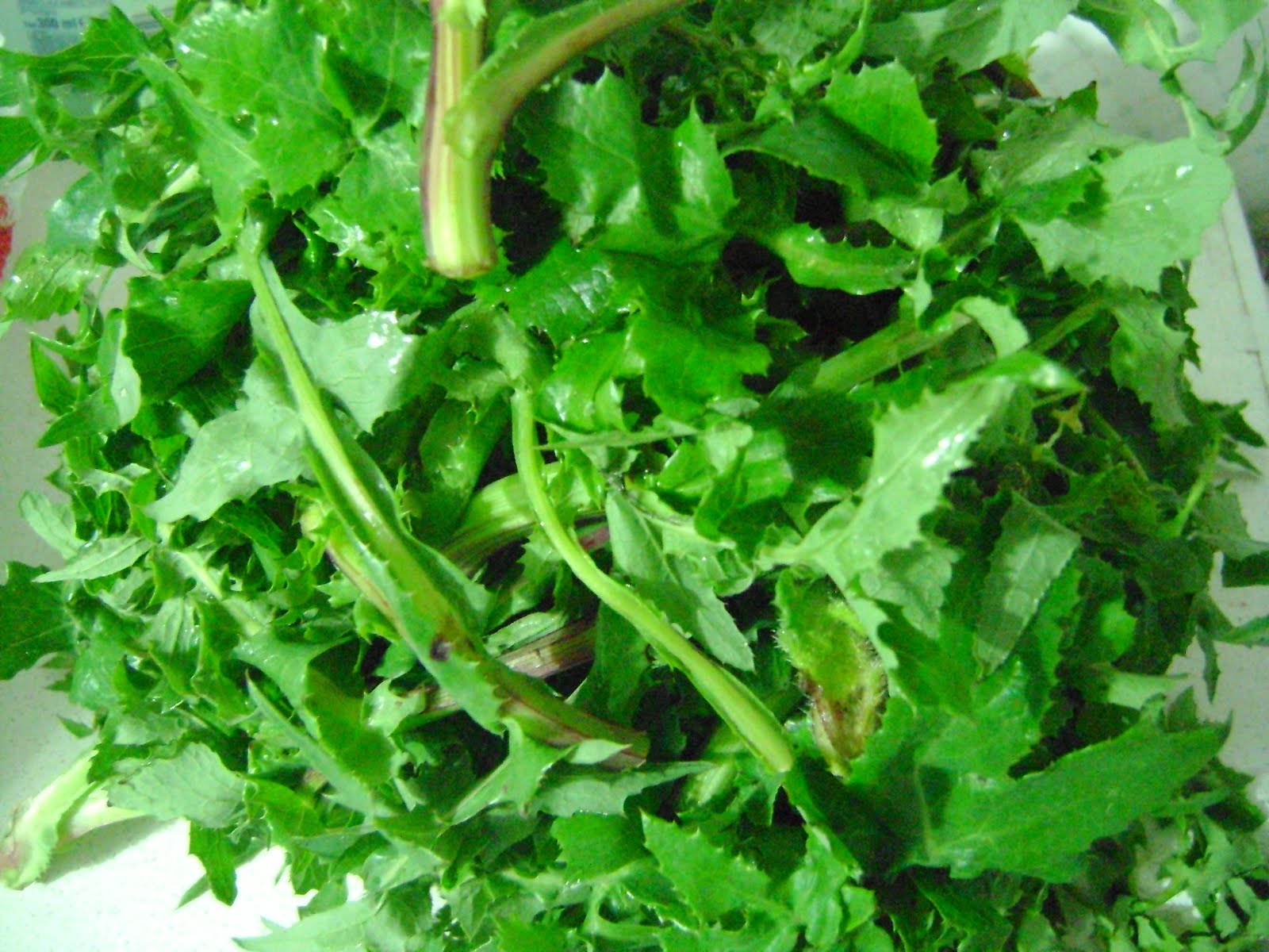 Buongiorno Grisì: A cardedda, un piatto tipico Siciliano.