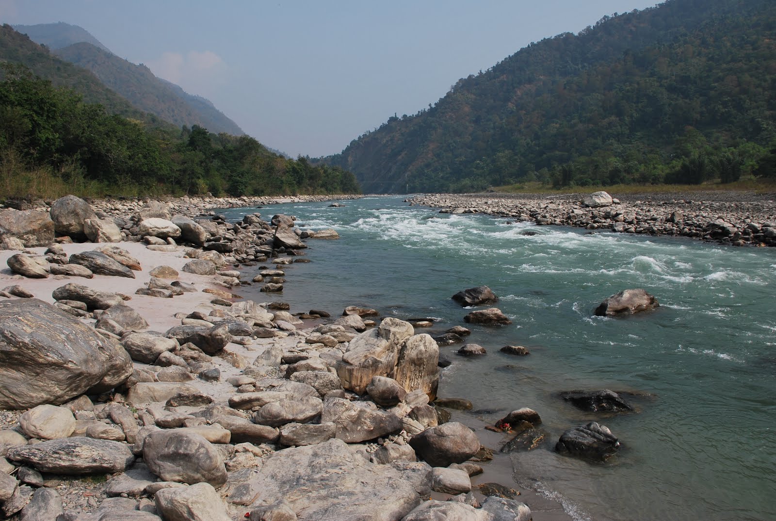 Seven Bowls of Tea: Tamar