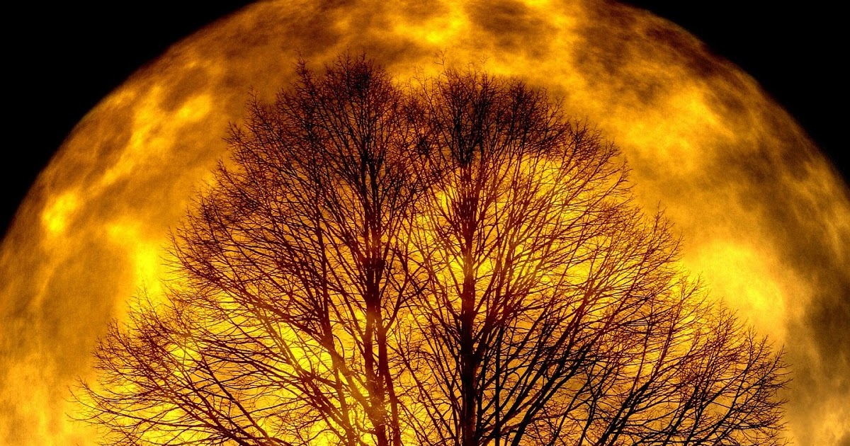 ISAI The Martial Art of Formless Flow: The HOW in motion – how it looks ...