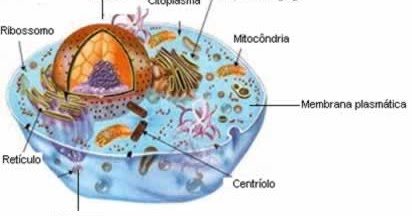 Aulas de ciências e biologia: As biomembranas - 2 EM