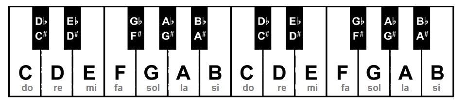 Grok armonikėle: Pirmosios natos