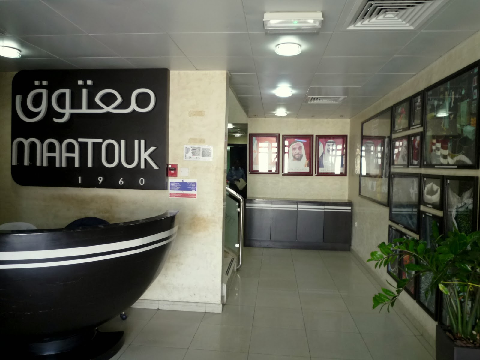 El Observador Solitario: ABU DHABI Y LA EMPRESARIA SAMIRA MAATOUK