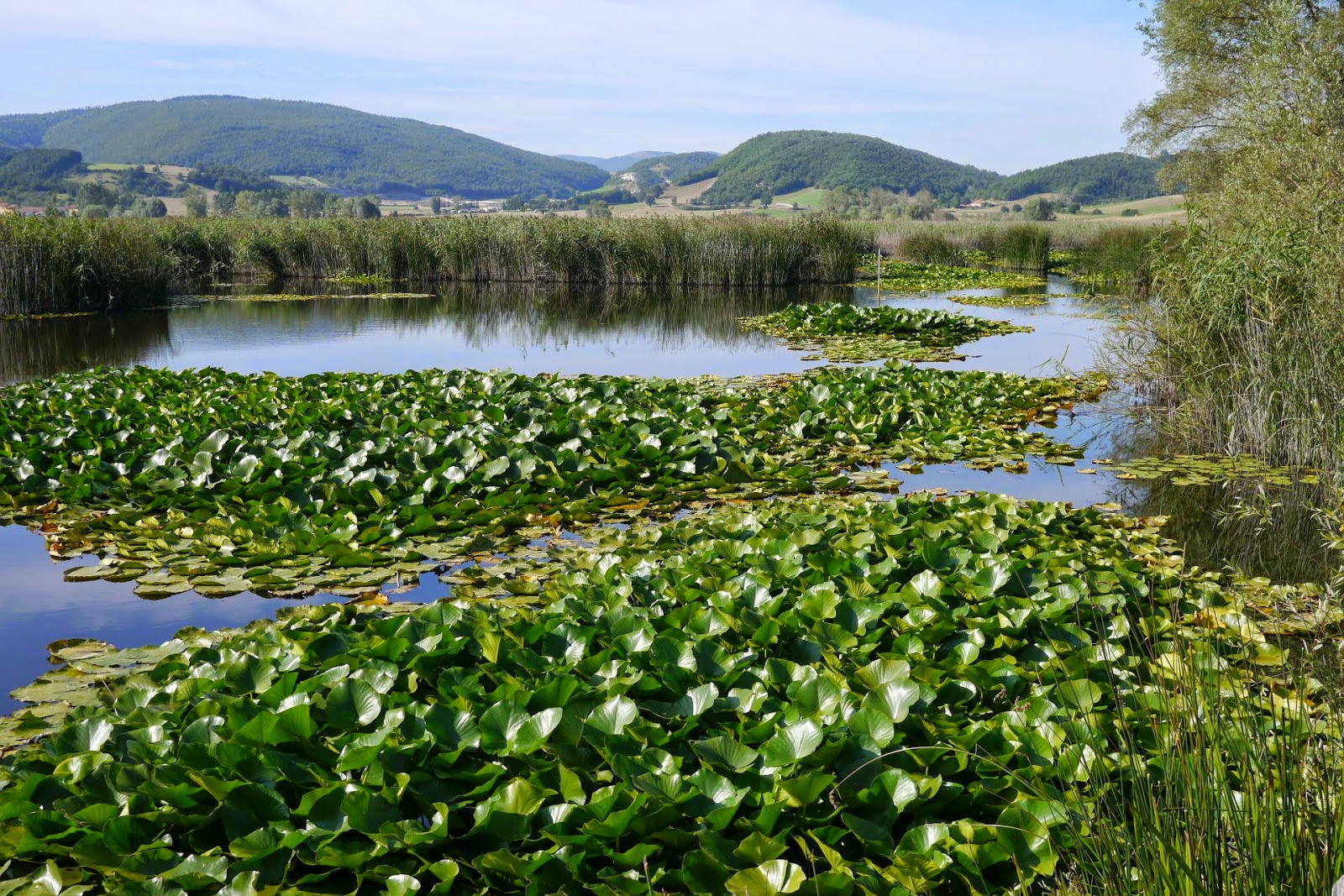 girovagando: LA PALUDE DI COLFIORITO
