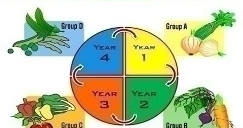 WHAT IS CROP ROTATION