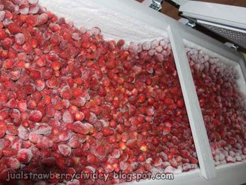 Jual Strawberry Fresh dan Frozen Harga Paling Murah