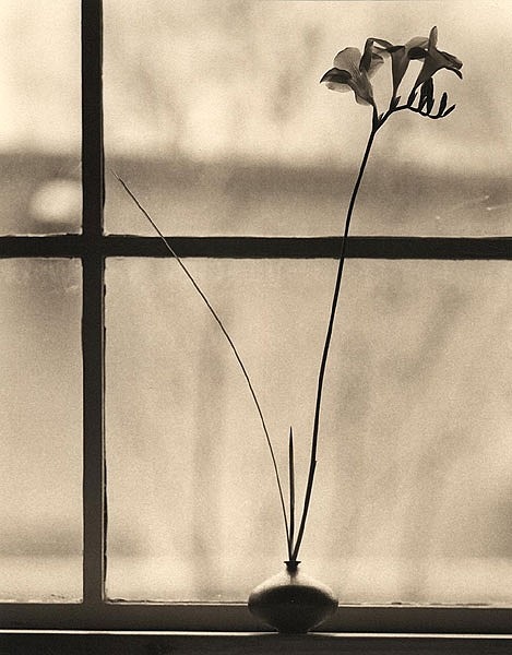 Los Grandes Fotografos: James Pitts (1953)