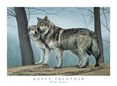 White Wolf : Rusty Frentner: talented wildlife artist from America's ...