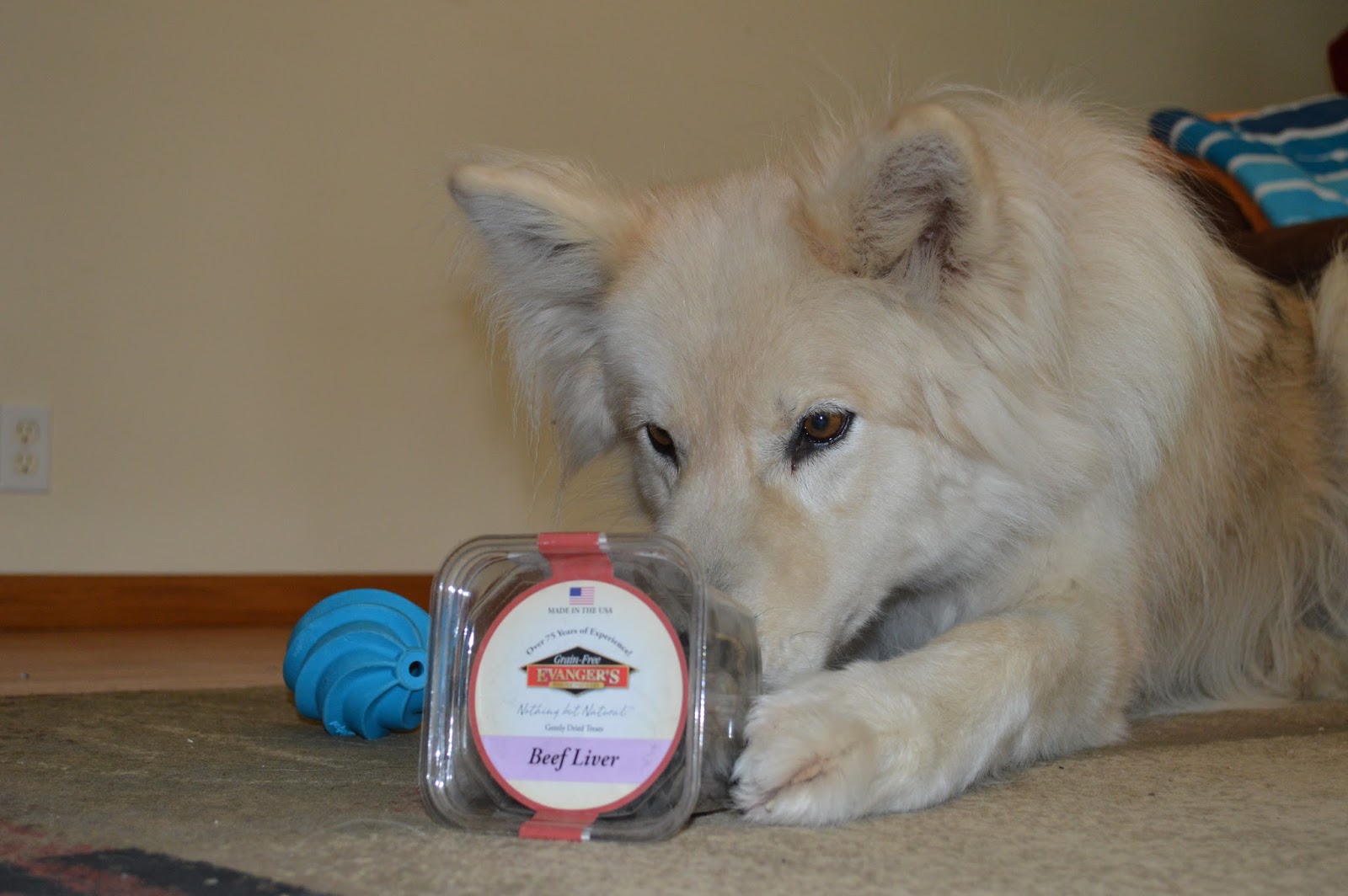 My Rotten Dogs: Evanger's Beef Liver Treats
