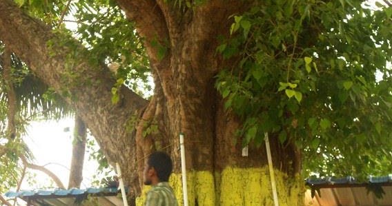 PEDDAPURAM HISTORY: BATTUVAARI RAVI CHETTU A SMALL STORY ABOUT PEDDAPURAM