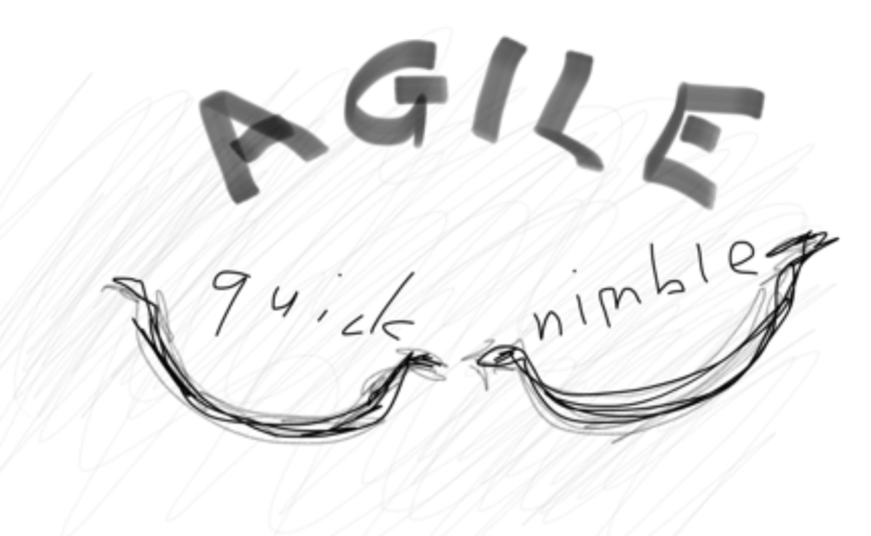 Changing Challenges: Agile In A Nutshell