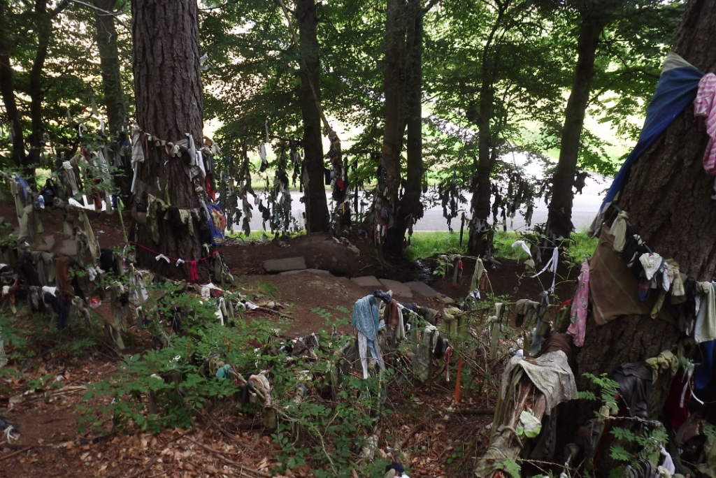 Waithe and wonder: Clootie Well, Black Isle