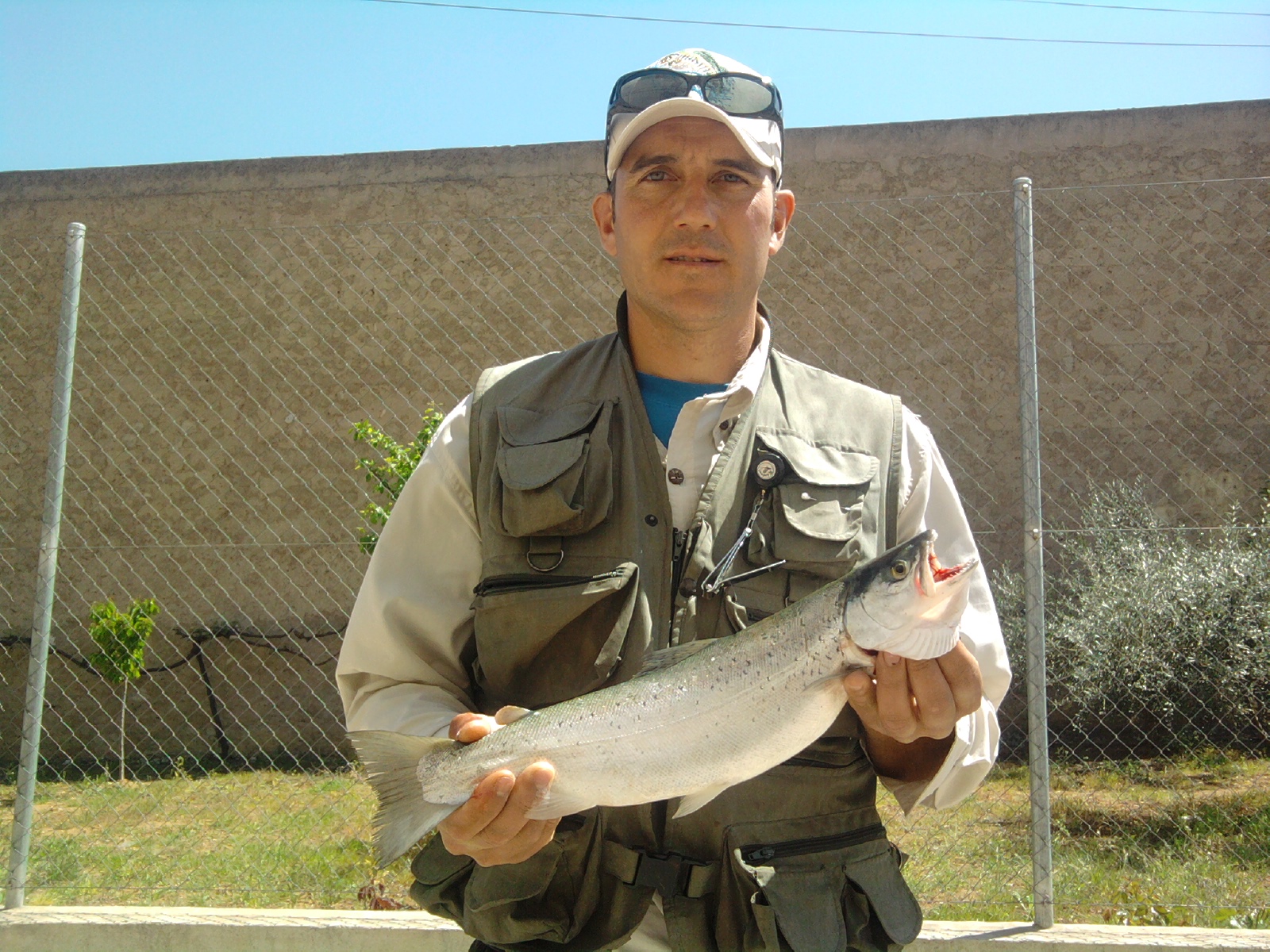 POLÉMICA: Salvelinos en Alarcón