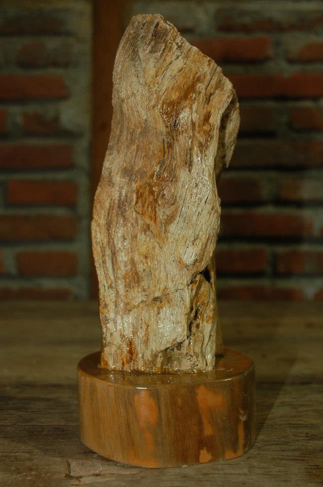 Museum Fosil Kayu Indonesia: FOSIL KAYU "UKURAN KECIL"