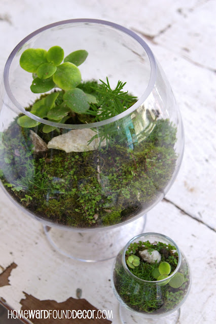 How to Make a FREE Moss Terrarium homeward found decor
