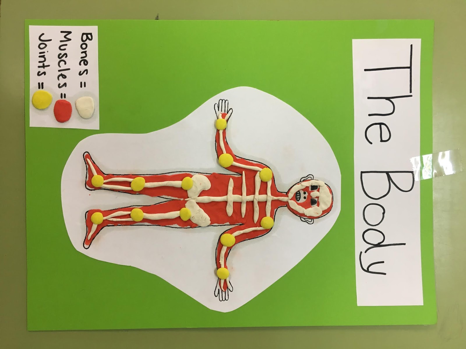 Learning English Through Arts & Crafts: The Human Body