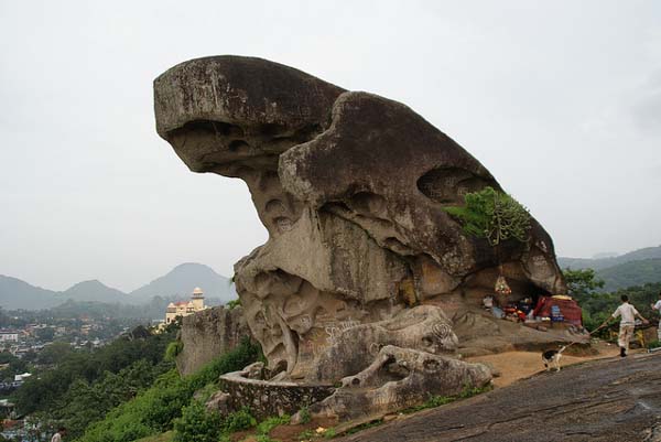 10 Places to visit in Mount Abu - One passion Only travel