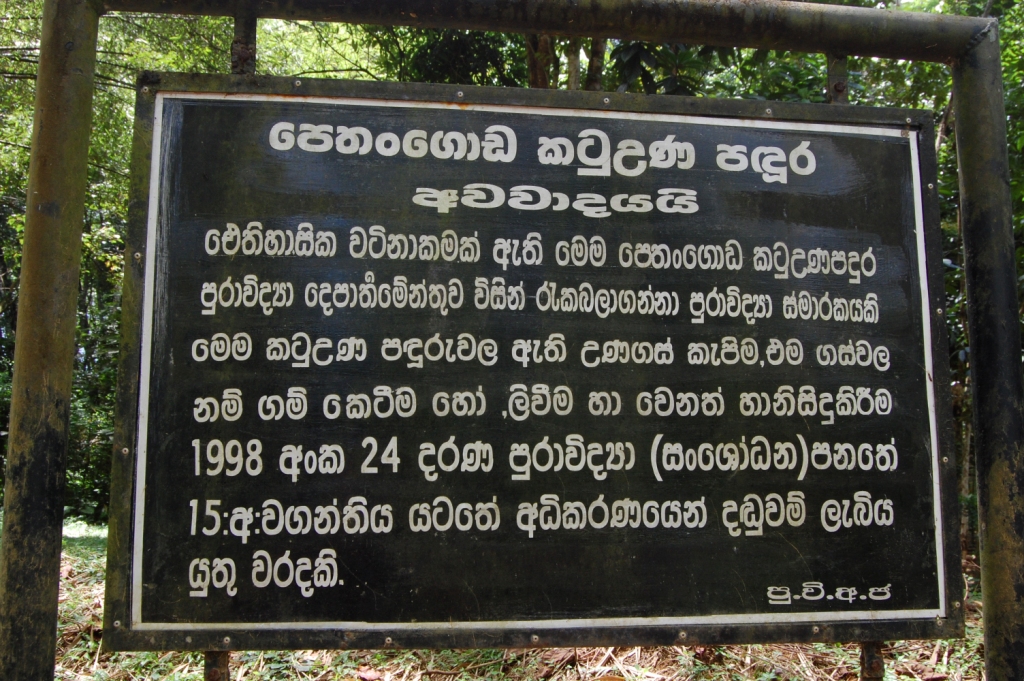 FOREST BIRD: The HistoricThorny Bamboo of Pethangoda