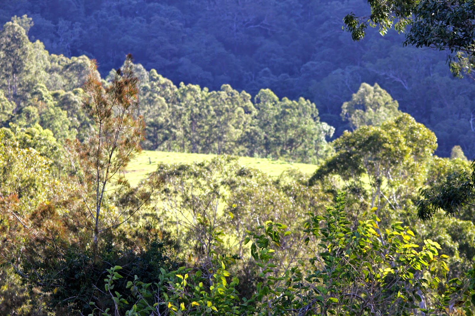 6Ps: Australian Colour