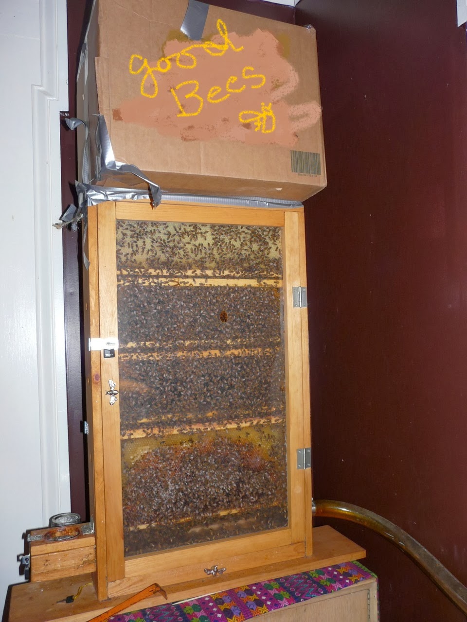 Building My Observation Hive: Parlor Tricks