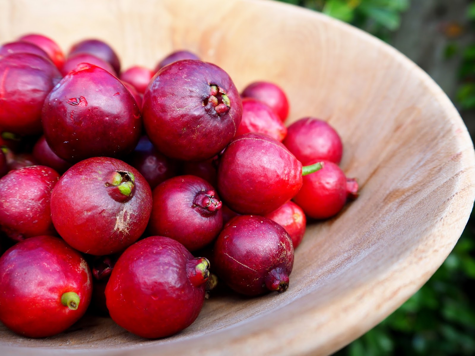nz green buttons: Guava love (14/52)