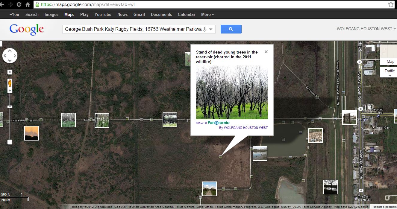 H-Town-West Photo Blog: Comeback of George Bush Park Wilderness after ...