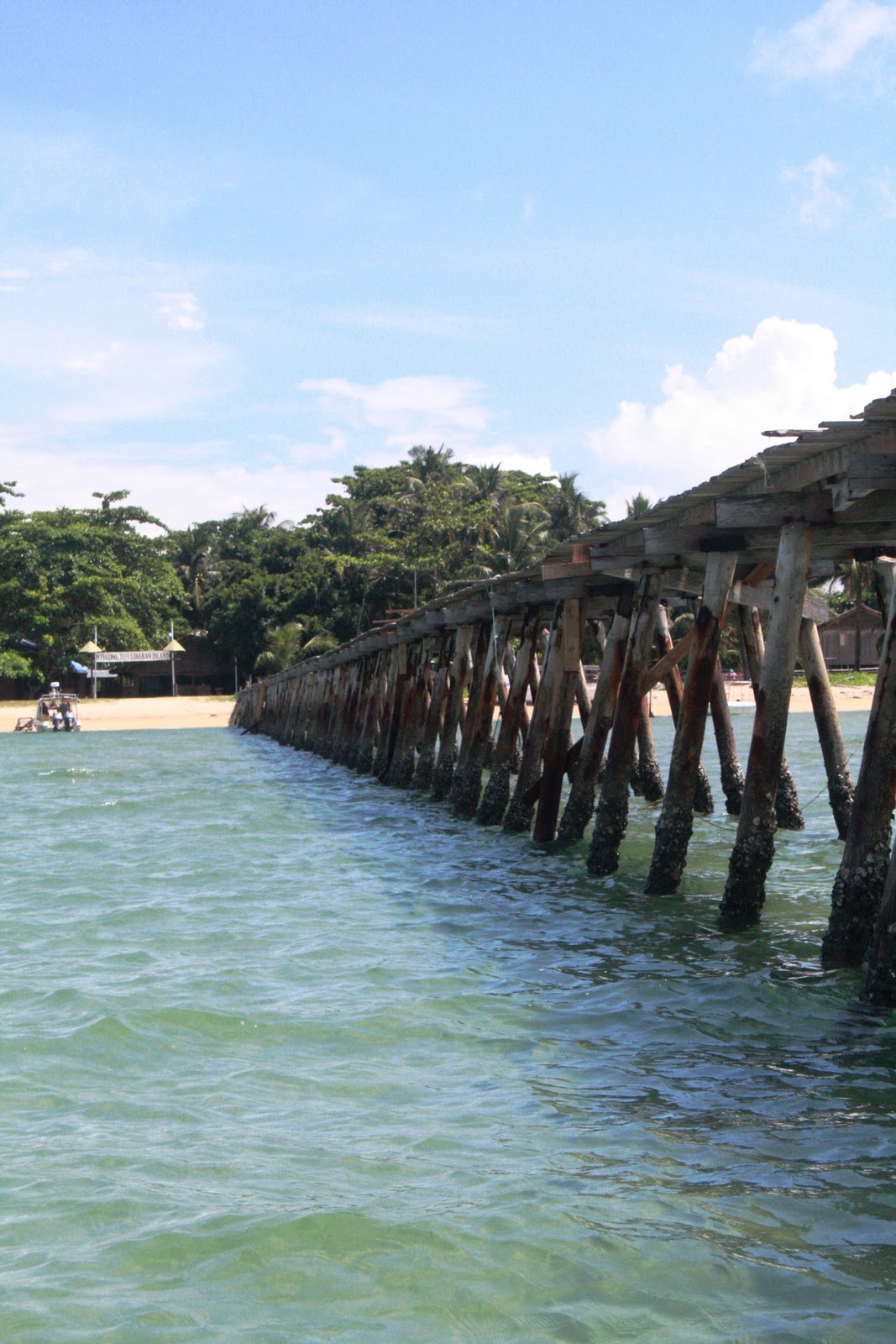 My week in pictures: 42: Sepilok, Kinabatangan River, and Libaran Island