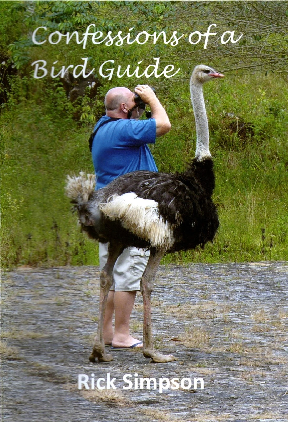 Rick Simpson Birding: My book is published at last!