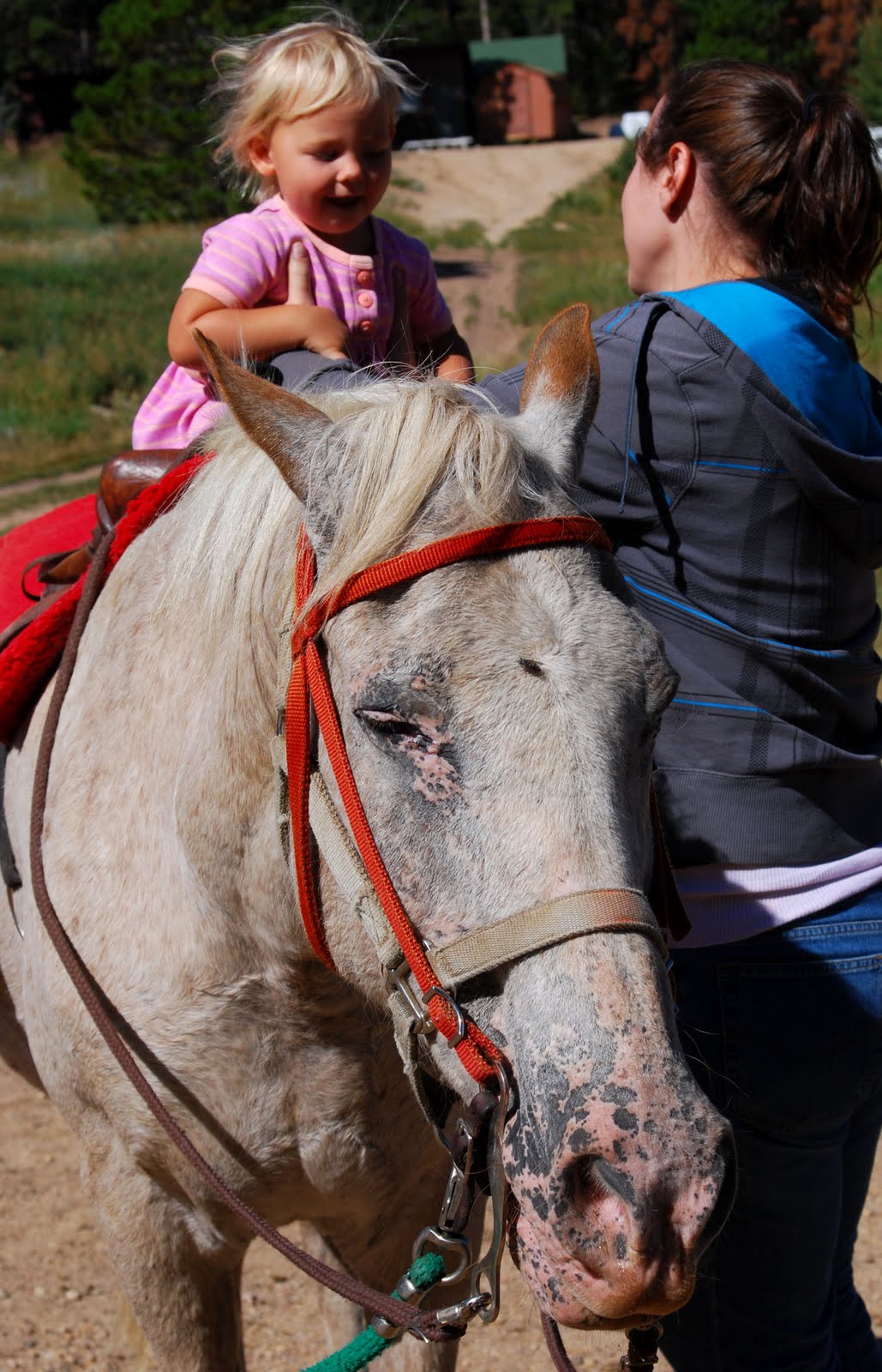 Magnolia and Boothe: Lane Guest Ranch