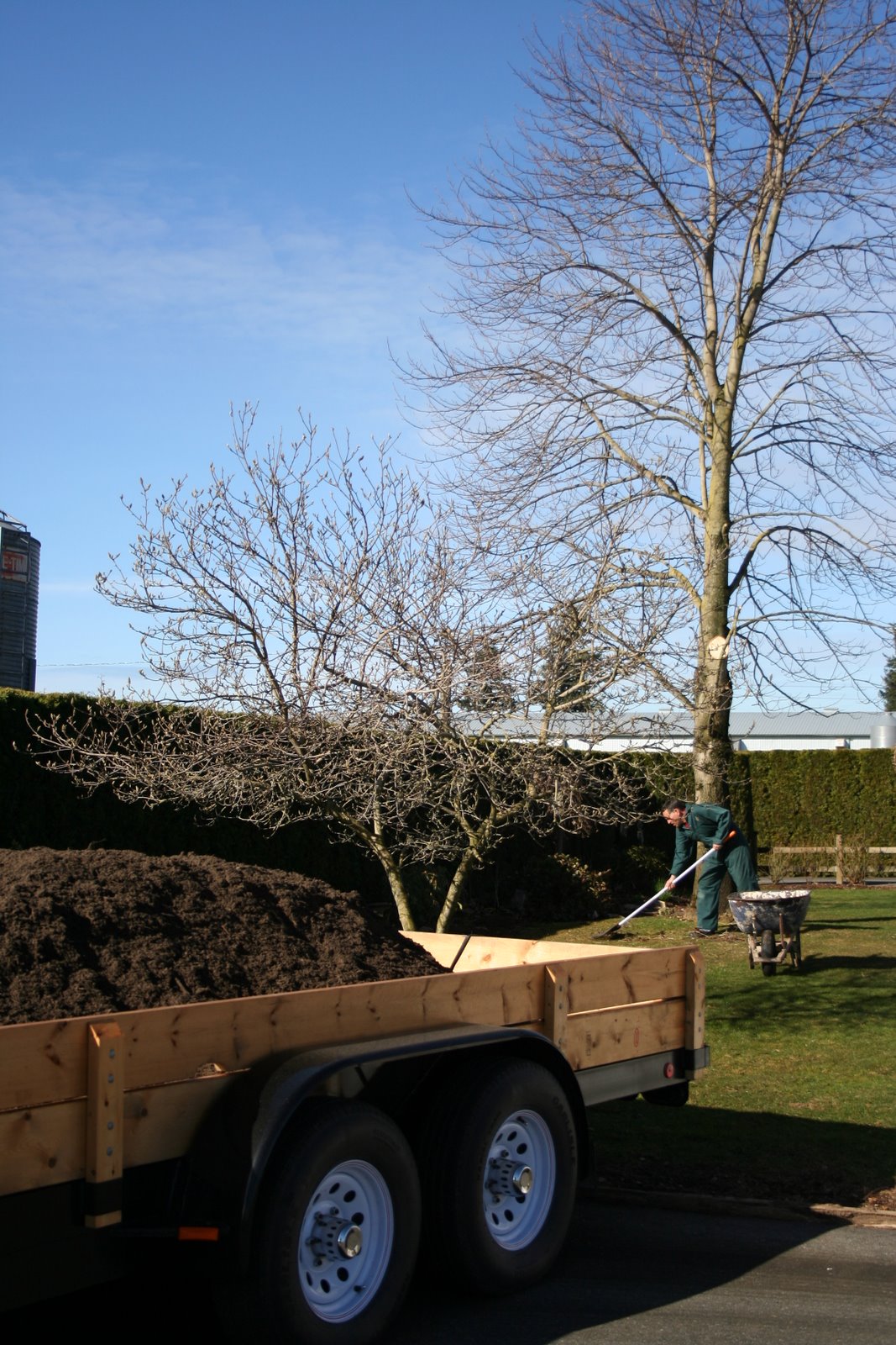 spring break yard work part 1