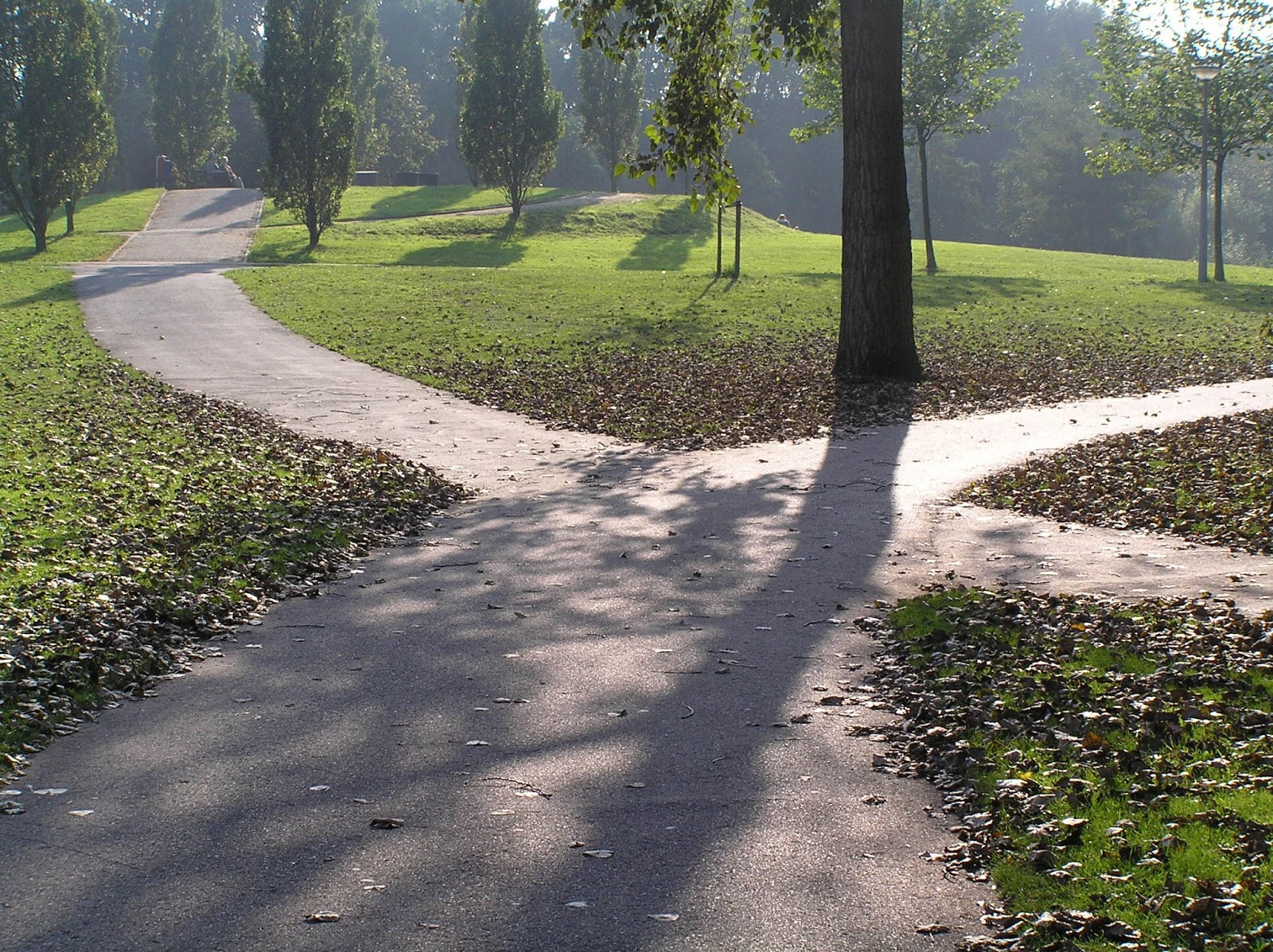 Infinitely More: The Crossroad