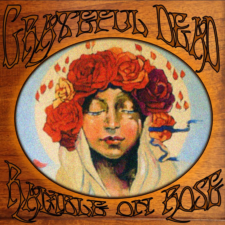 American Beauty Rose Grateful Dead