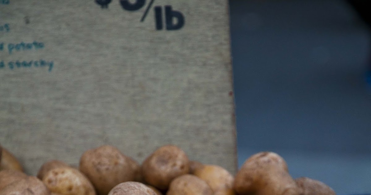 Poetry: Fever 103° by Sylvia Plath