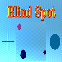 Blind Spot Memory Game