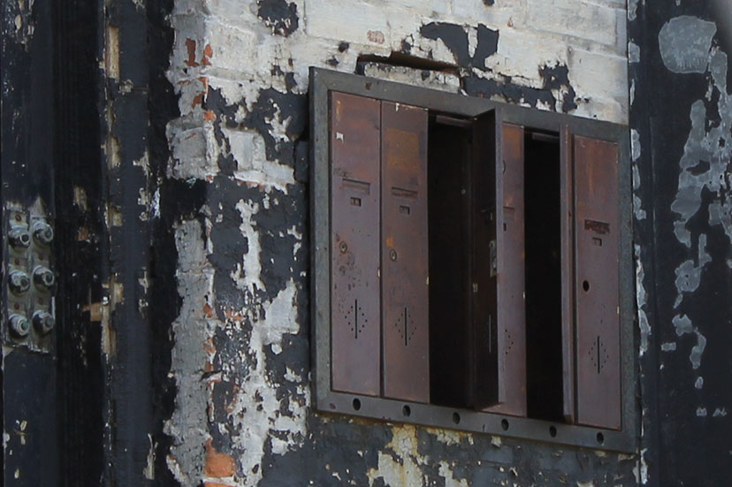 ArchitectureChicago PLUS: Our Raber (House) Has Tender Grapes; Can a ...