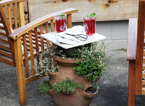 tend: easy patio herbs