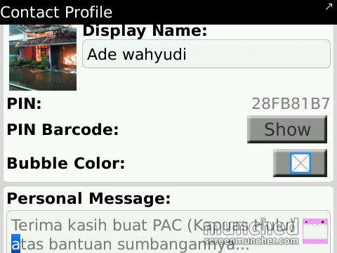 Profile Putussibau Art community ( PAC )