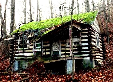 The Flying Tortoise: Rustic Dwellings, Secluded Places...