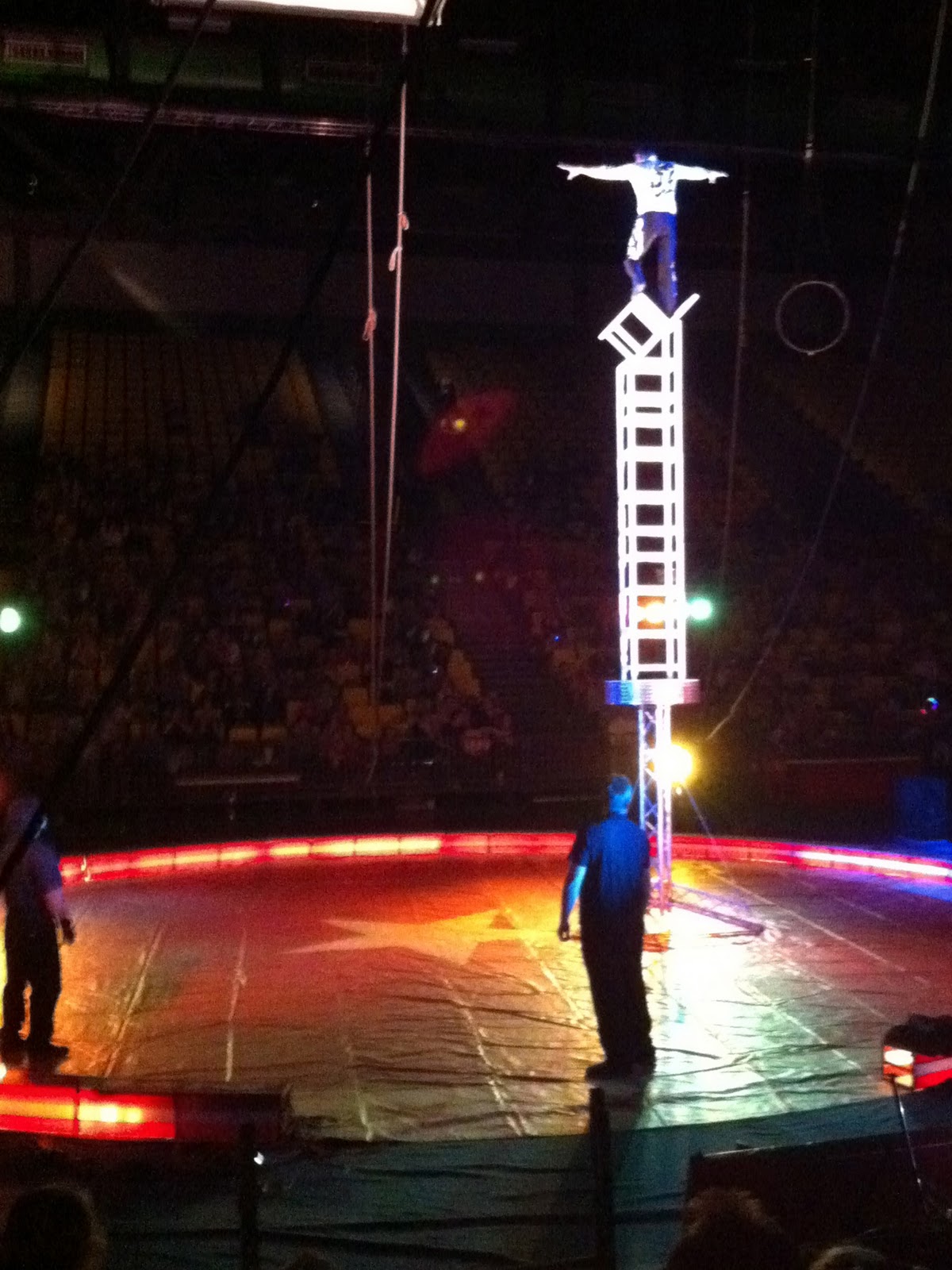 Morningstar Happenings: The Circus